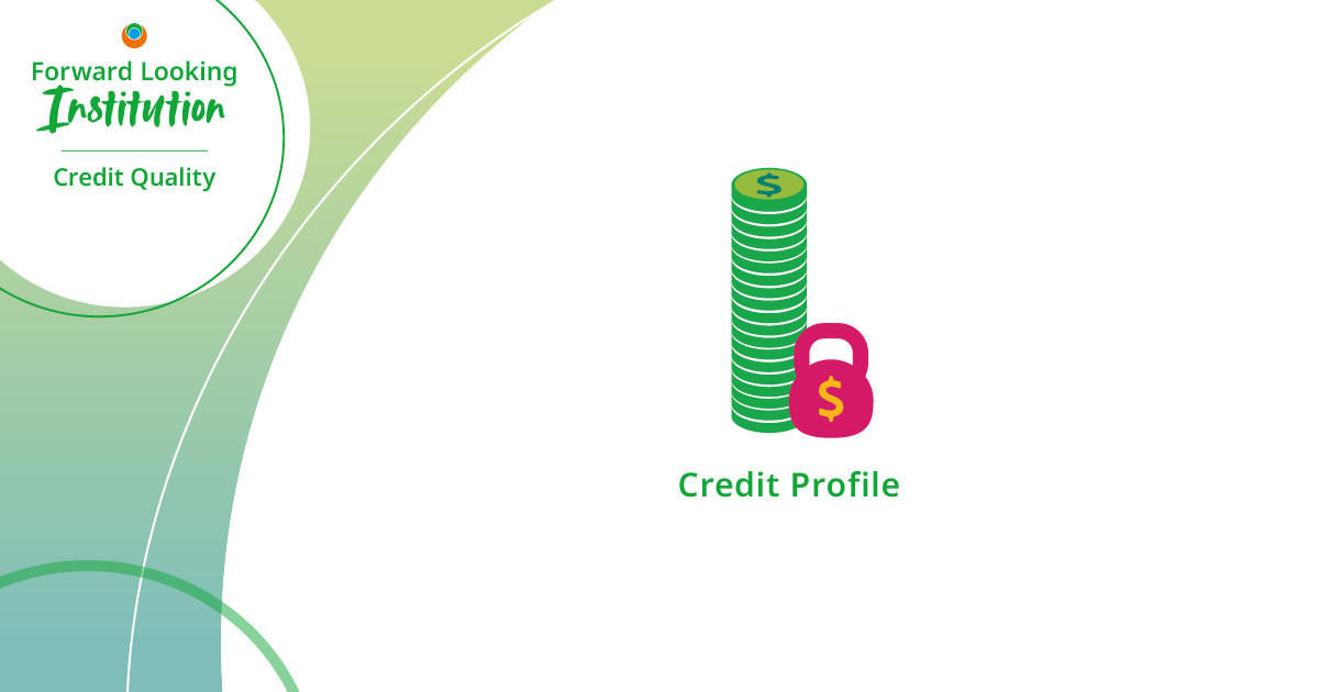 Credit Quality - Institution | Temasek Review 2022